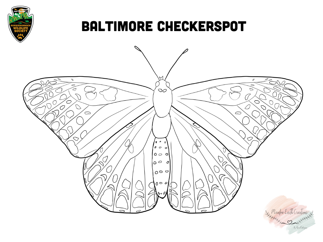 Local Wildlife Coloring Book - Susquehannock Wildlife Society